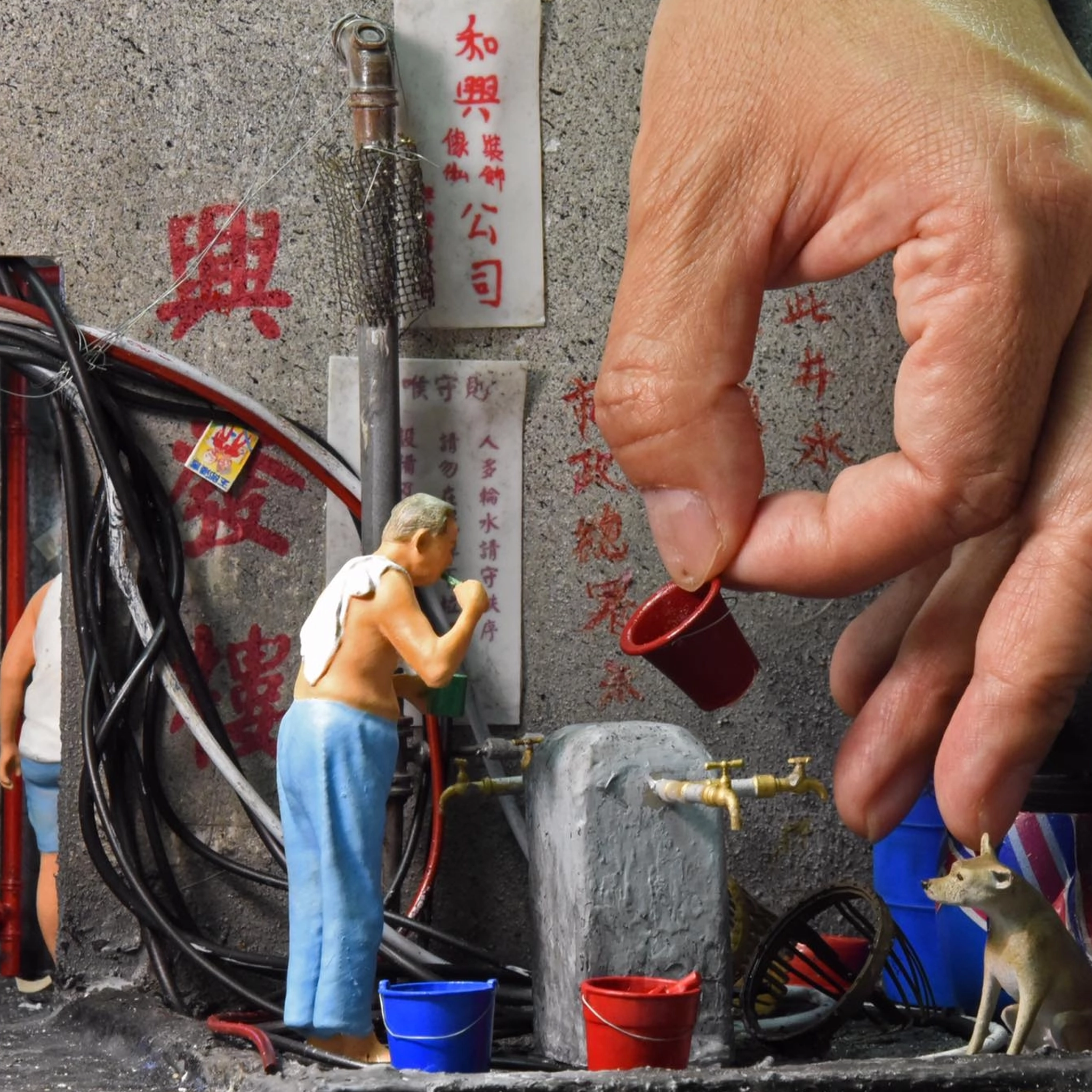Timable 香港好去處 演唱會