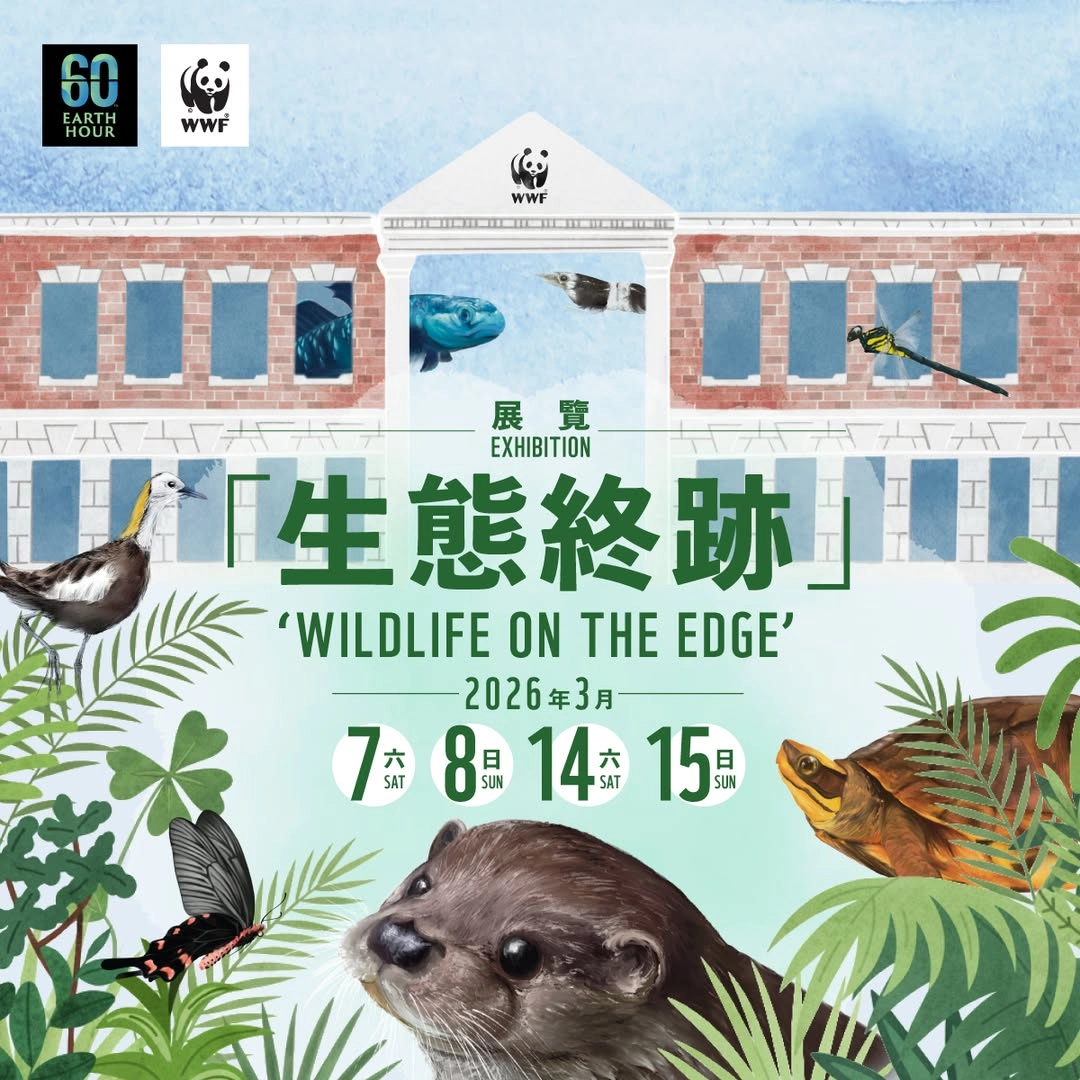 Timable Hong Kong Hotspots & Concerts