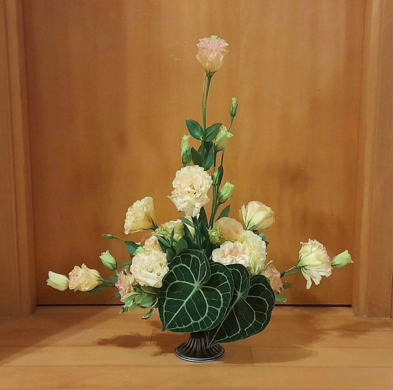 Timable 香港好去處 演唱會